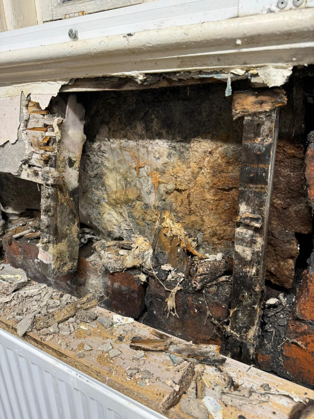 Uncovering Hidden Damage: STRATUS9 Consulting Uncovers Extensive Wet ...